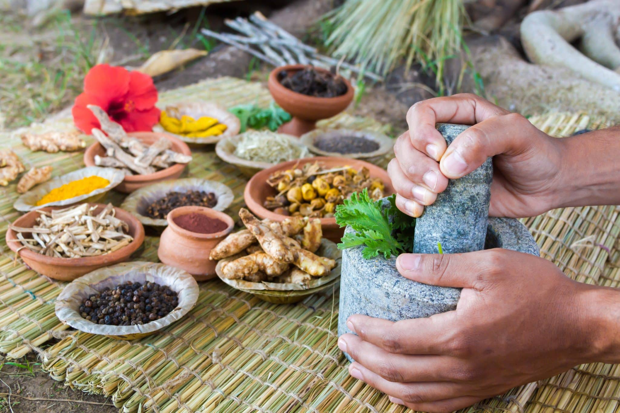 IV Encuentro Ayurveda en la UNCA: jornada de salud integral y medicina ...